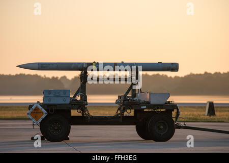 The AIM-120 advanced medium-range air-to-air missile (AMRAAM) of ...