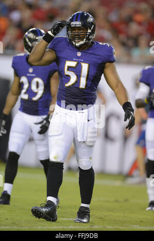 Tampa, FL, USA. 8th Aug, 2013. Baltimore Ravens linebacker Adrian ...