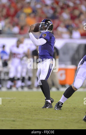 Tampa, FL, USA. 8th Aug, 2013. Tampa Bay Buccaneers cheerleader Stock ...