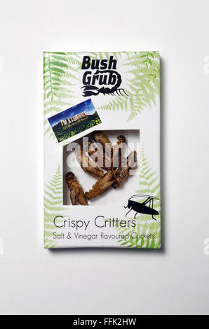 Packaged edible insects Stock Photo - Alamy