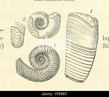 'Siluria' discusses the geology, paleontology, and ancient life forms ...