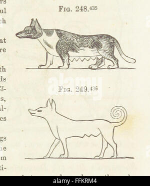 'Types of Mankind' explores human diversity through ethnological ...