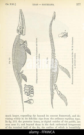 This third edition of the 'Manual of Elementary Geology' is a ...