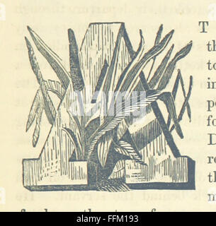 'The Local Historian's Table Book' offers a collection of remarkable ...