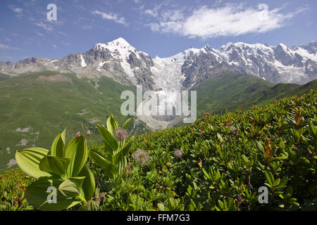 Tetnuldi, Adishi Glacier, Dzhangi Tau from Chkhunderi Pass, Mestia ...