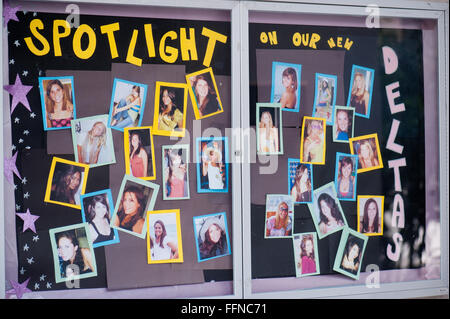 Female student reading notice board in college Stock Photo - Alamy