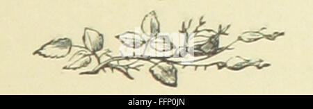 A collection of literary works, including songs, poems, and prose, by ...