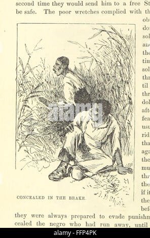 A detailed account of Mark Twain’s experiences on the Mississippi River ...