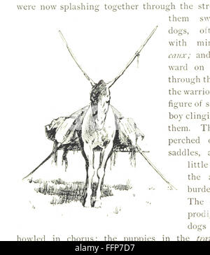 'The Oregon Trail' details the journey of pioneers across the American ...