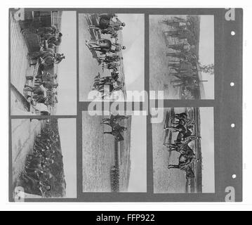 A volume of official war photographs from the Canadian War Memorials ...