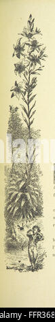 This book examines France’s colonial influence in Madagascar, focusing ...