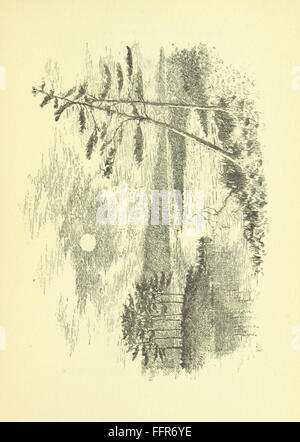 'Humorous Poems' is a collection of light-hearted poetry with a preface ...