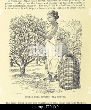 'Ceylon in 1893' offers a historical account of the island of Ceylon ...