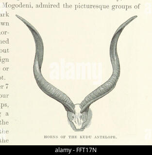 This vintage book details Count S. Teleki's expedition in Eastern ...