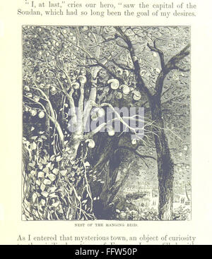 This book highlights the journeys and discoveries of famous African ...