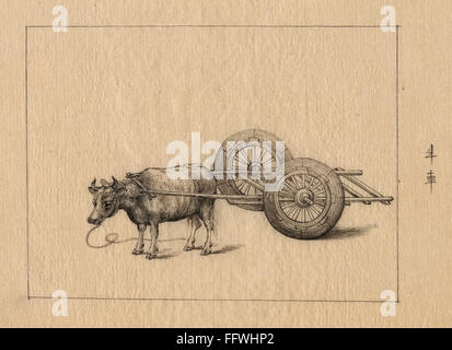 Ox-drawn two-wheeled cart Stock Photo - Alamy