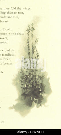 This collection includes seasonal songs and sketches, celebrating the ...