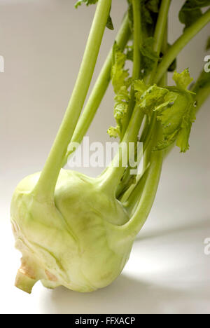Knolkhol green fresh vegetable single white background Stock Photo - Alamy