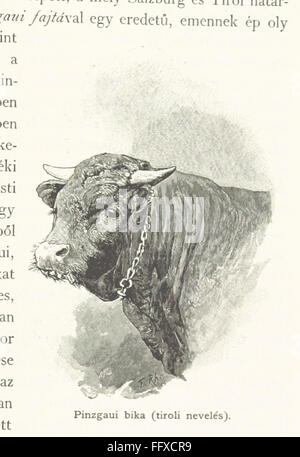 This Hungarian work explores the Austrian-Hungarian Empire through ...