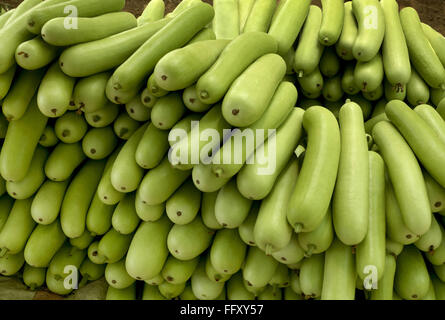 Vegetable , bottle guard , India Stock Photo - Alamy