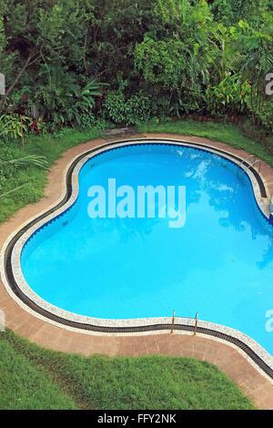 Swimming Pool from Goa , India Stock Photo - Alamy