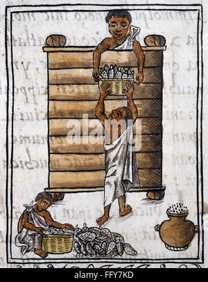 MEXICO: AZTEC DRAWING. /nAztec drawing of a serpent and eagle, c16th ...