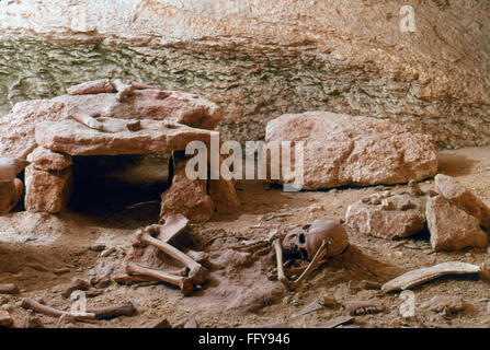 CRO-MAGNON SKELETON. /nSkeletal remains of a Cro-Magnon woman next to ...