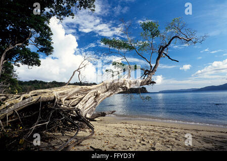 Chidiya Tapu, Andaman and Nicobar Islands, India, Asia Stock Photo - Alamy