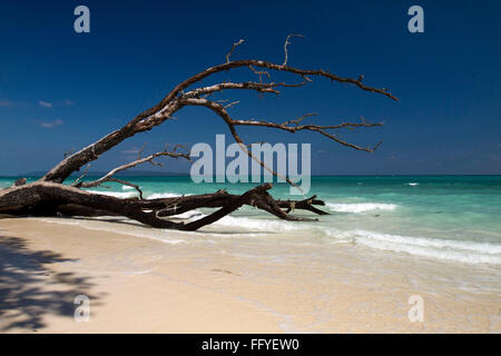 Waves at Kalapathar Beach, Havelock Island, Andaman, India Stock Photo ...