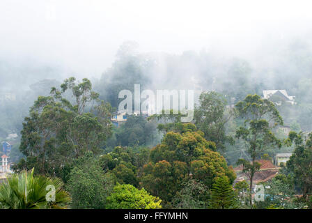 Coonoor is second largest hill station in Nilgiris, Tamil Nadu, India ...