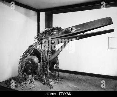 HAMATSA CEREMONY. /nA Kwakiutl man emerging through a wooden dance ...