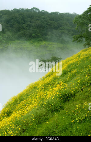 western ghats scenery with Sahyadri mountain range, lush and green ...