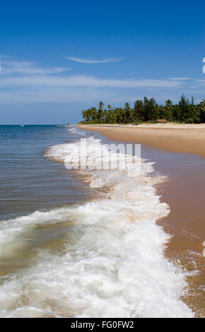 Beach, Bhogwe, Sindhudurga, Maharashtra, India Stock Photo - Alamy