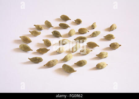 Indian spice , bleached green Cardamom pods Elaichi Elettaria cardamom ...