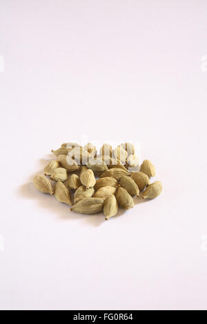 Green cardamom pods Stock Photo - Alamy