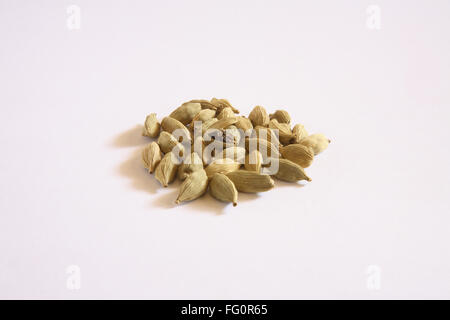 Indian spice , bleached green Cardamom pods Elaichi Elettaria cardamom ...