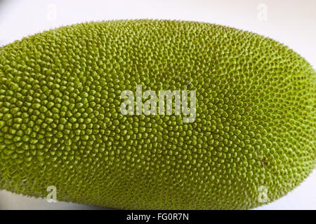 Fruit, Jackfruit Kathal phanus, India, Asia Stock Photo - Alamy