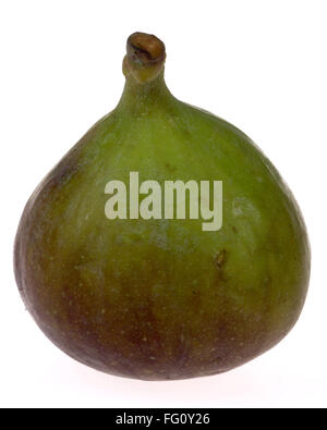 Fruit, Fig, Anjir, Green one on white background Stock Photo - Alamy