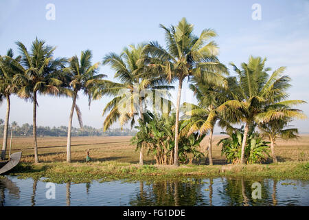 Scenic Kerala backwaters near Alleppey in India, water channels, small ...