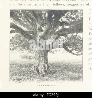 Another volume of John L. Stoddard's lectures, offering insights into ...