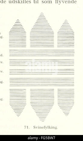 A detailed historical account of Denmark's history, written by ...