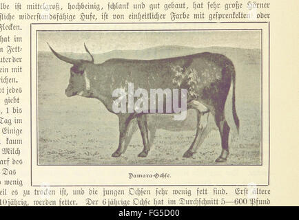 'Nama und Damara' provides an account of the Nama and Damara peoples in ...