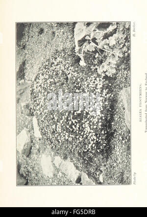 The 'Year Book' of 1896 offers a comprehensive record of key events ...
