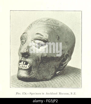 ‘Moko; or, Maori Tattooing’ explores the traditional art of Maori ...