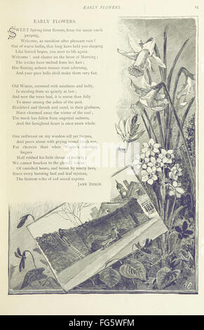 'Sunlight and Shade' combines poems and illustrations that capture ...