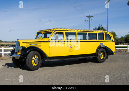 Iconic yellow Yellowstone National Park bus Stock Photo - Alamy