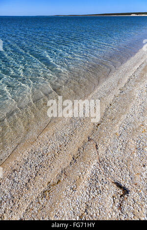 Hamlin Pool in Western Australia Stock Photo - Alamy