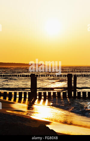 beach of zingst Stock Photo - Alamy