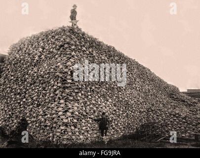 Pile of skulls Stock Photo - Alamy