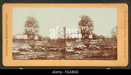 Group of dead horses in Trostle's farm-yard, by Tipton, William H, 1850 ...
